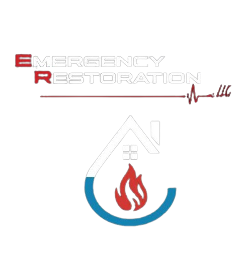 Mold Removal | Nashville Area – Emergency Restoration TN